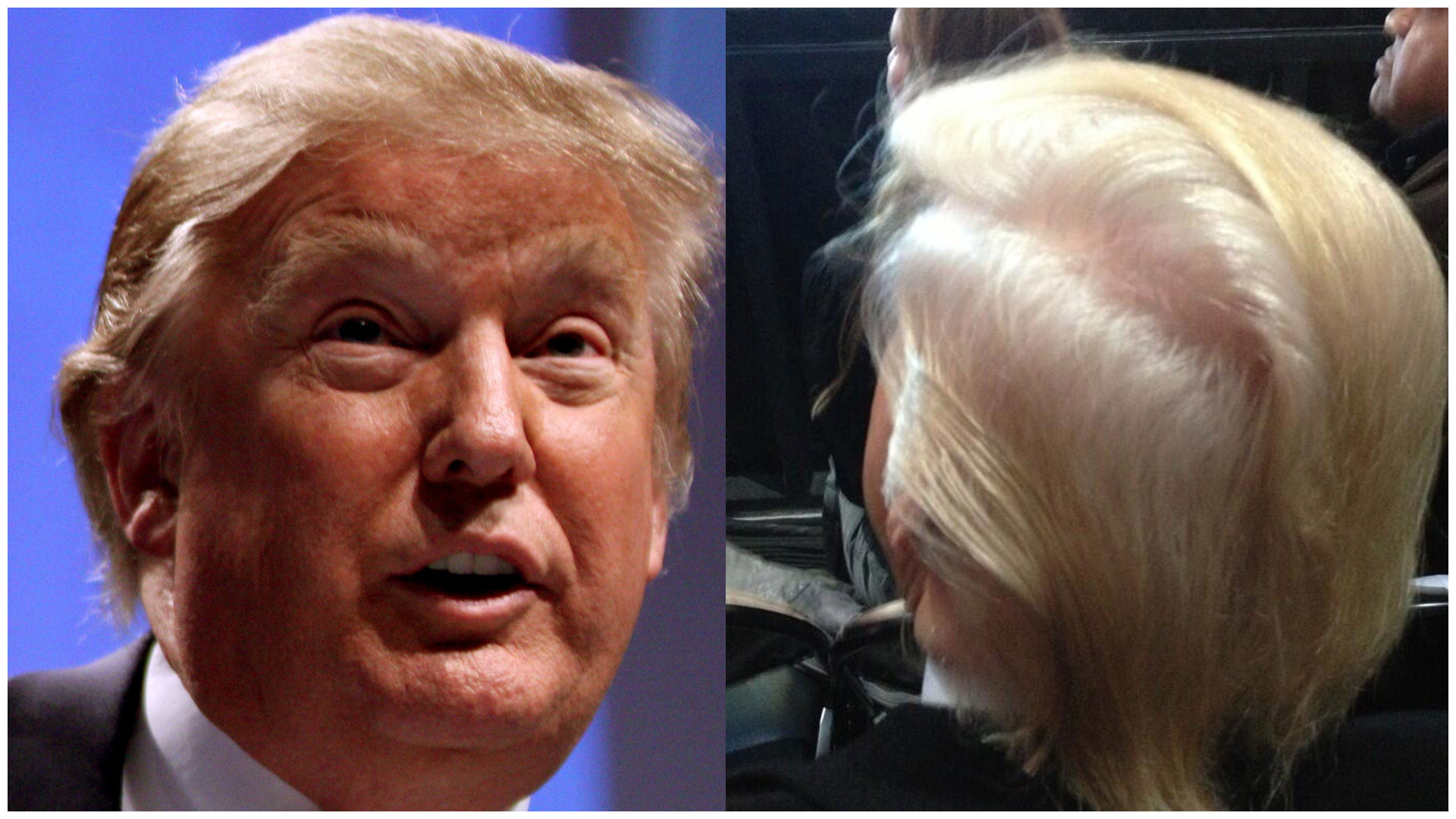 Donald Trump’s Hair Fails Him Yet Again as Netizens Troll Him for ‘Bird ...