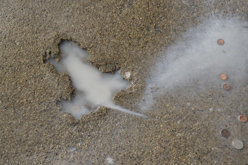 ‘Chicago Rat Hole’ is not imprint of rat, study suggests