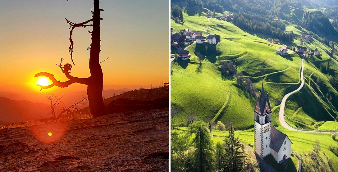 The Natural World, Seen in All its Timeless Glory