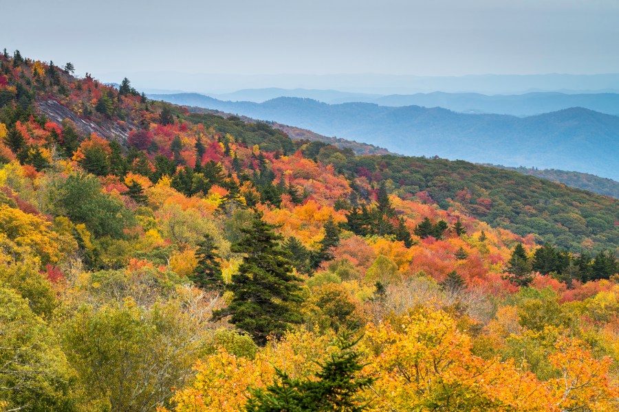 Your guide to fall foliage in western North Carolina