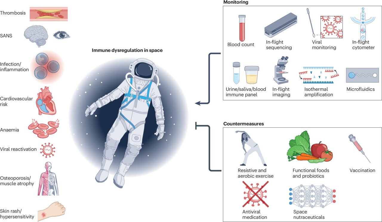 A hitchhiker's guide to the galaxy of space immunology