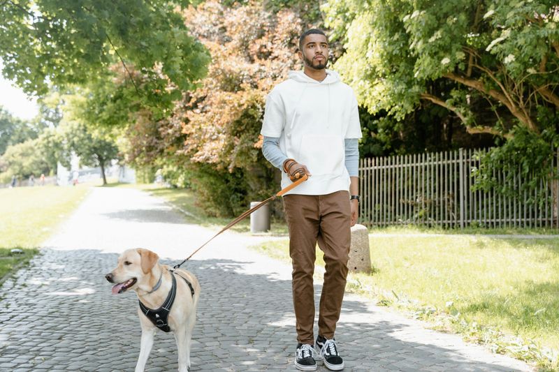 18 Everyday Habits That Lead to a Happier, Healthier Dog