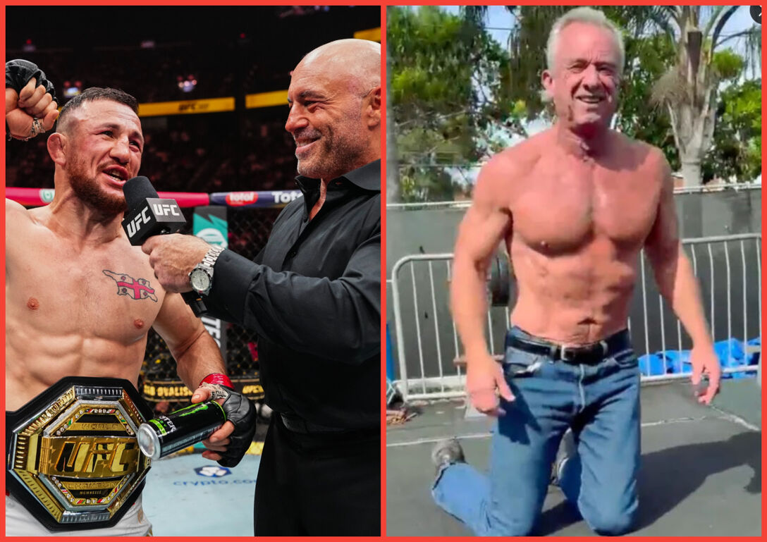 Is the key to understanding the manosphere hidden in their protein powder?