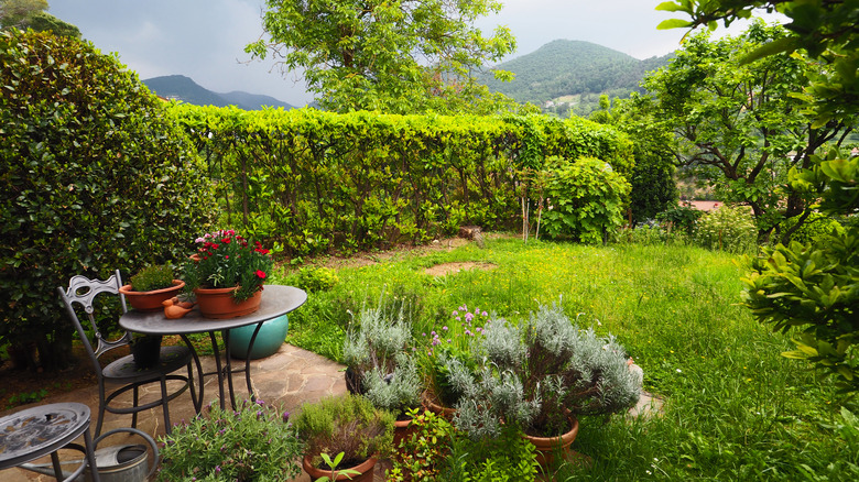 24 Plants You Need In Your Yard To Create The Perfect Secret Garden Getaway