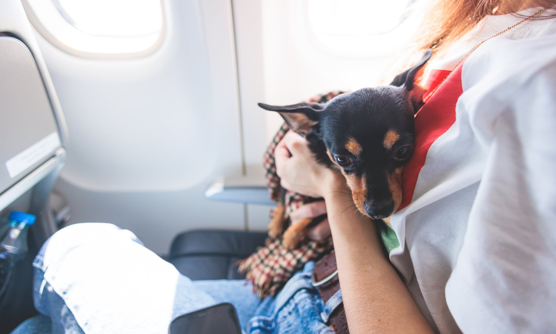 Pets on flights can now be classed as baggage, according to new EU rules