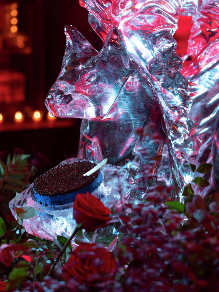 Houses and Parties' Rebecca Gardner unearths Houston ties in new ...