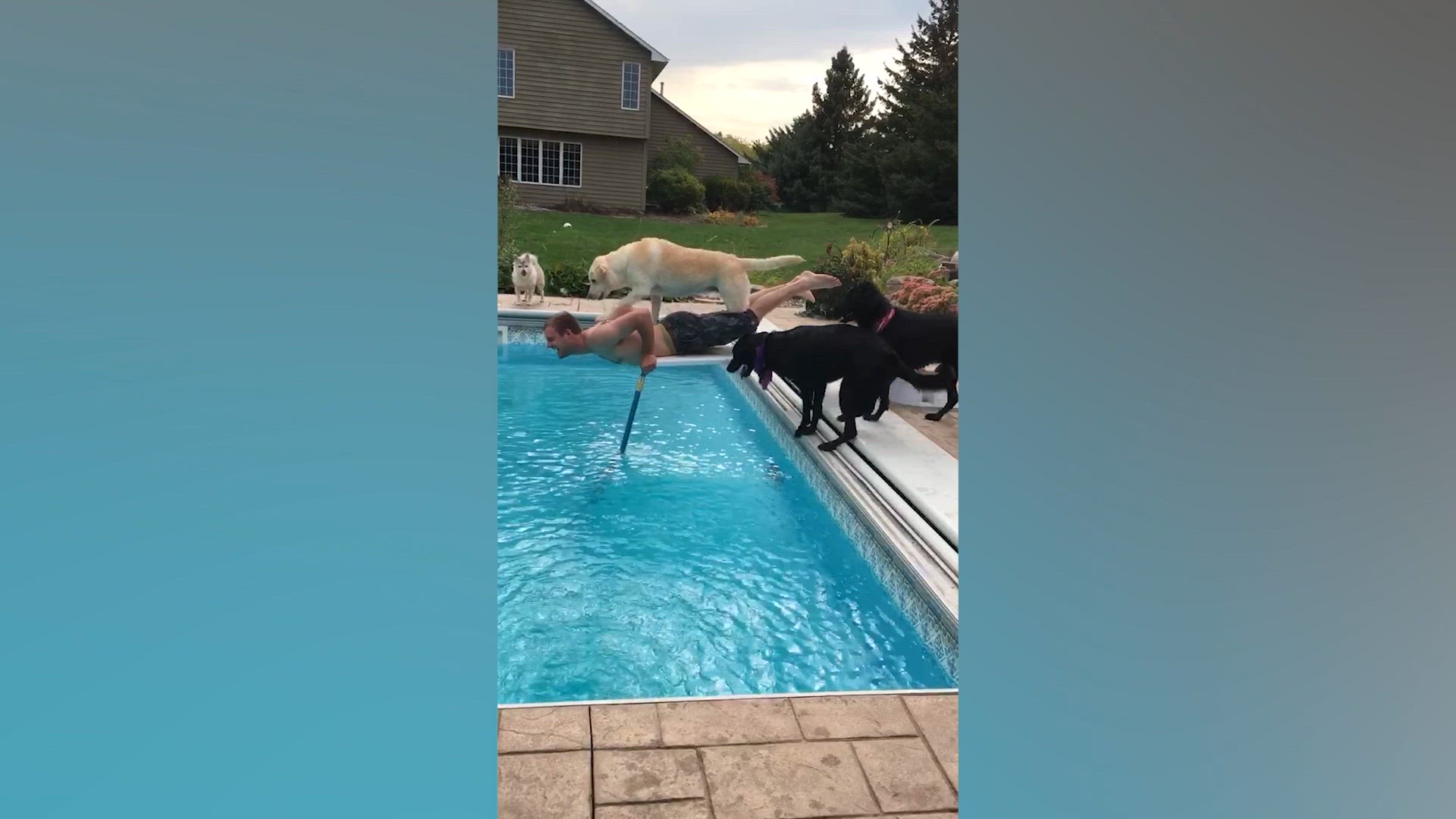 Goofiest Pet Moments