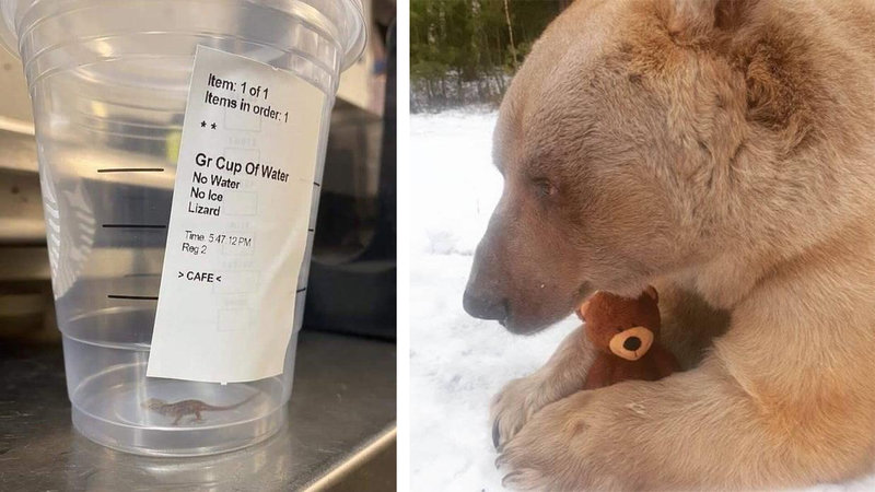 25 Blessed Images For A Midday Pick-Me-Up