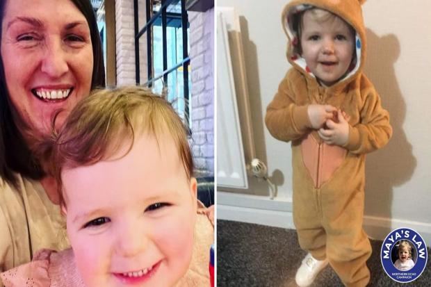 Maya’s Law petition reaches 7,000 signatures as family vows to keep ...