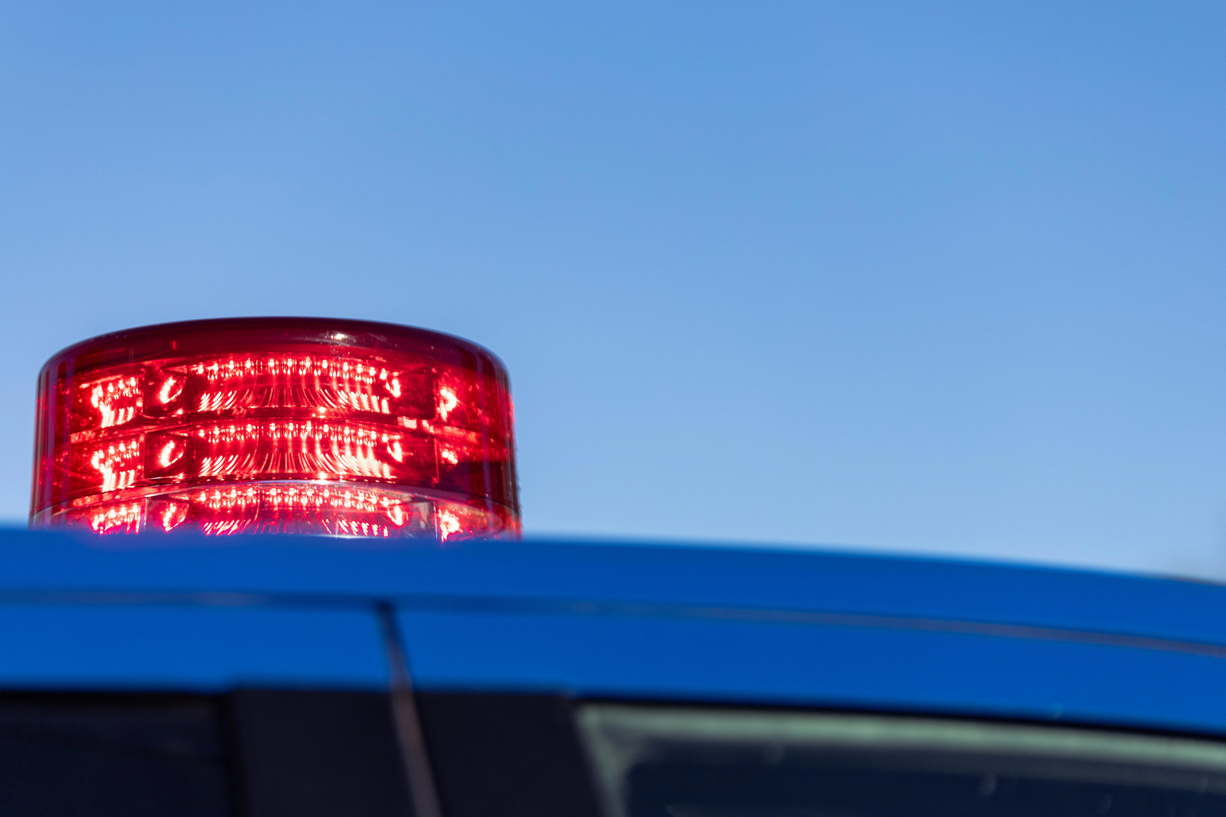 Police search UP woods for human remains. What they're saying about effort