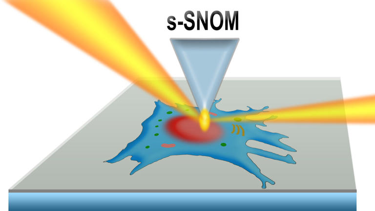 What vibrating molecules might reveal about cell biology