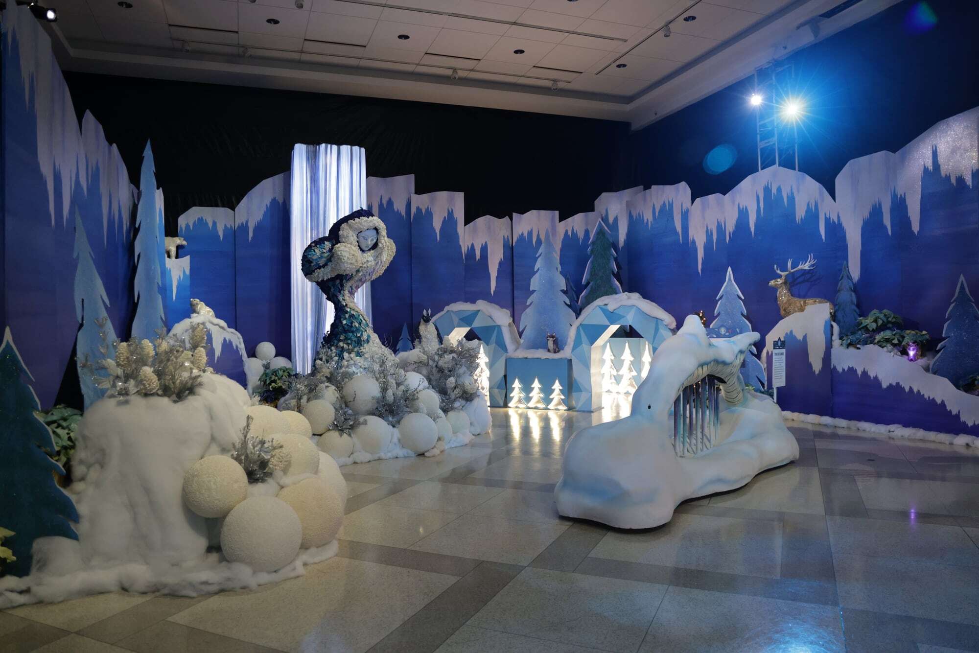 Cleveland Botanical Garden brings back Frost winter experience