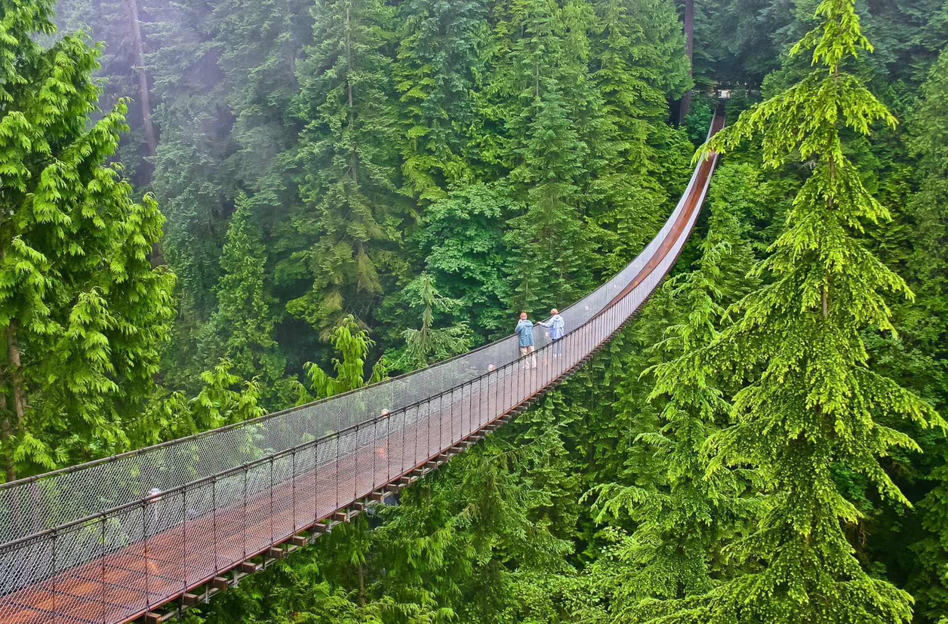 Step across the most amazing footbridges in the world