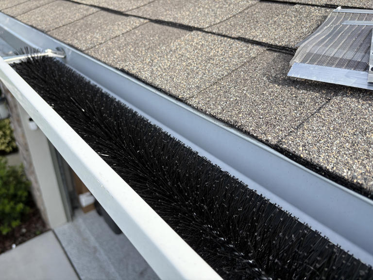 Gutter Guards for Pine Needles: Our Tested Picks