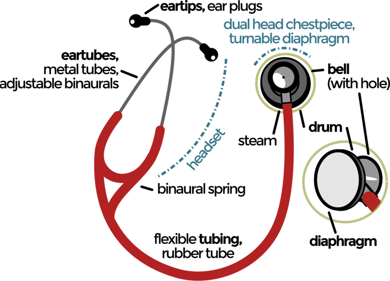 Stethoscope, meet AI – helping doctors hear hidden sounds to better ...