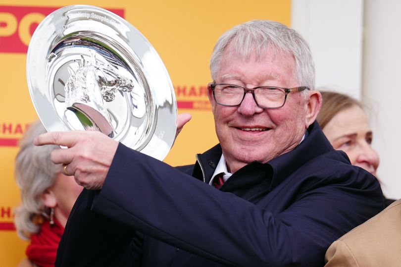 €740,000 horse 'has to take the next step up the ladder' for powerful ...