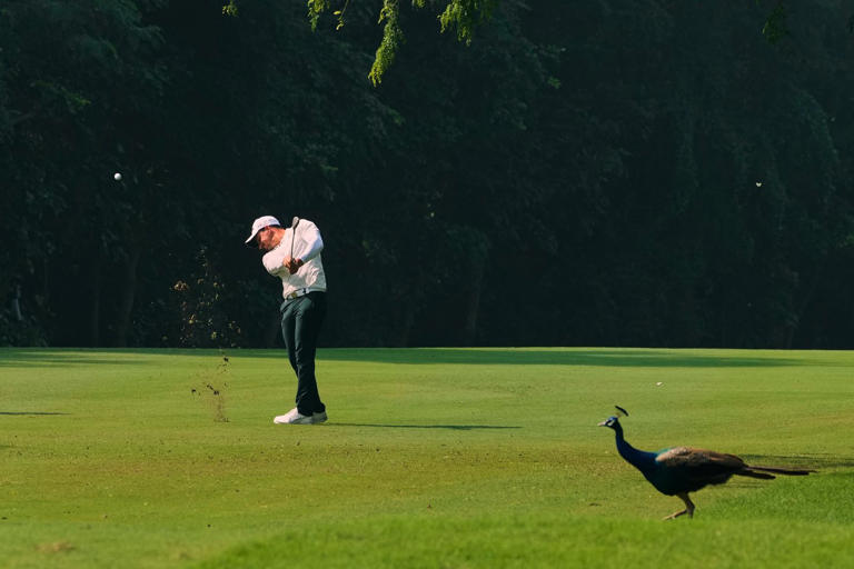 Shane Lowry leads in India with a 64, Rory McIlroy leaves driver out of ...