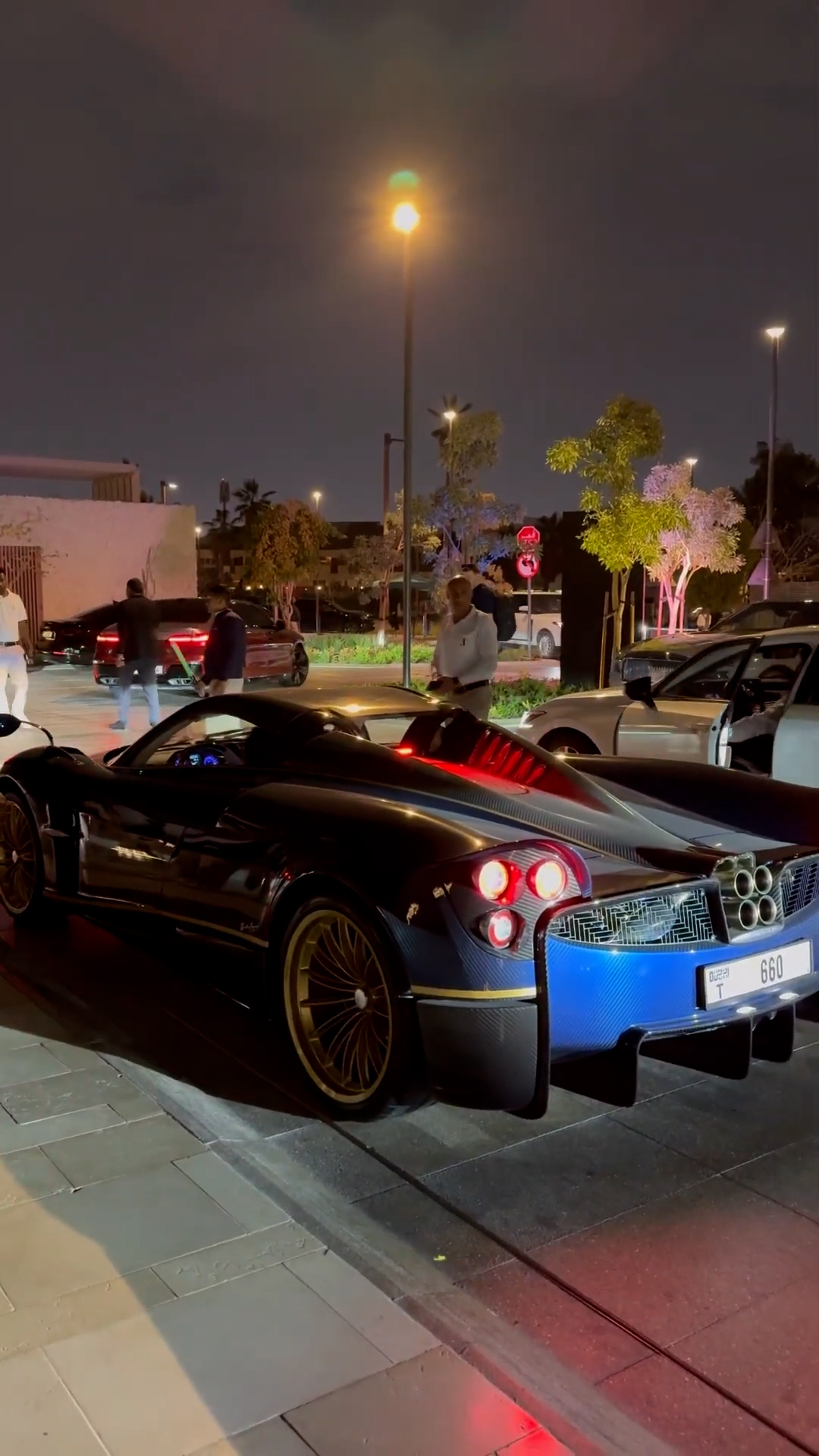 Pagani Huayra Roadster at Night