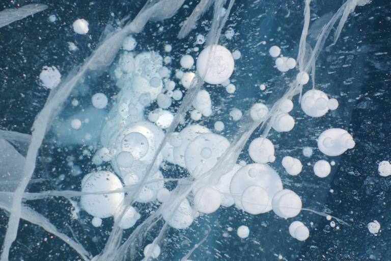 Scientists trace the origin of all life on Earth