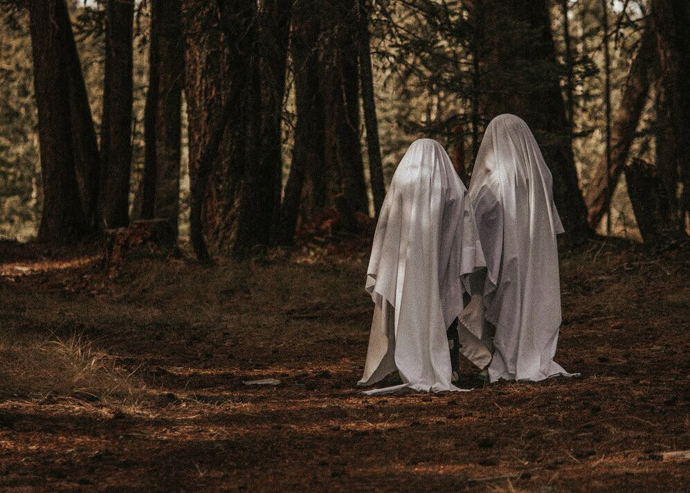 8 Herbs That Might Lure Ghosts to Your Doorstep