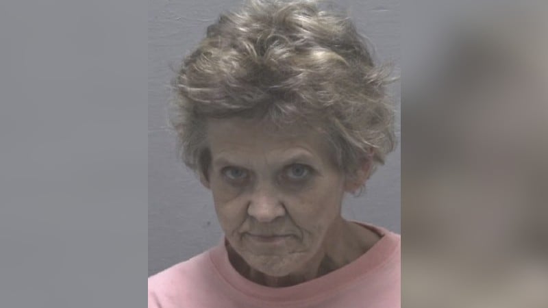 Woman accused of robbing bank near Carolina Beach Road makes first ...