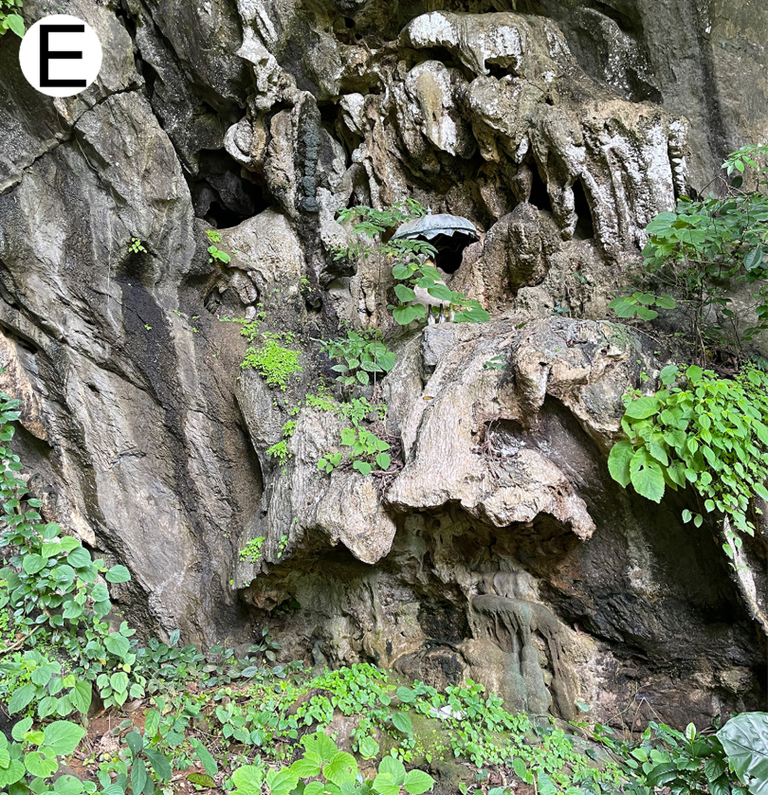 ‘Dragon'-like creatures seen mating at cave in Thailand. They're a new ...