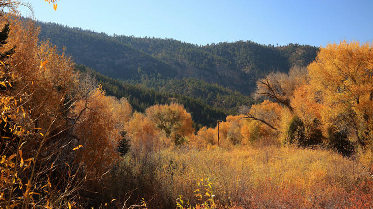 New Mexico's State Park Brimming With Wildlife Is A Tucked-Away Haven ...