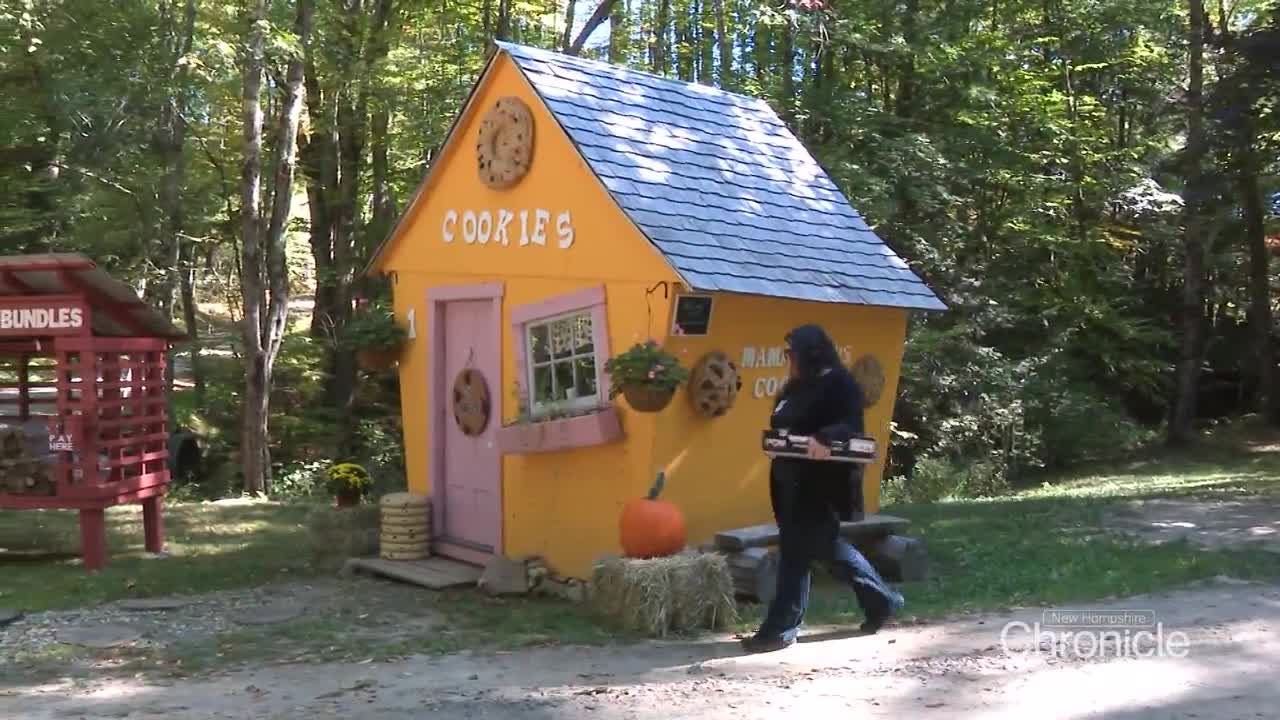 NH Chronicle: Cookie Crawl: Mama Bears Cookies