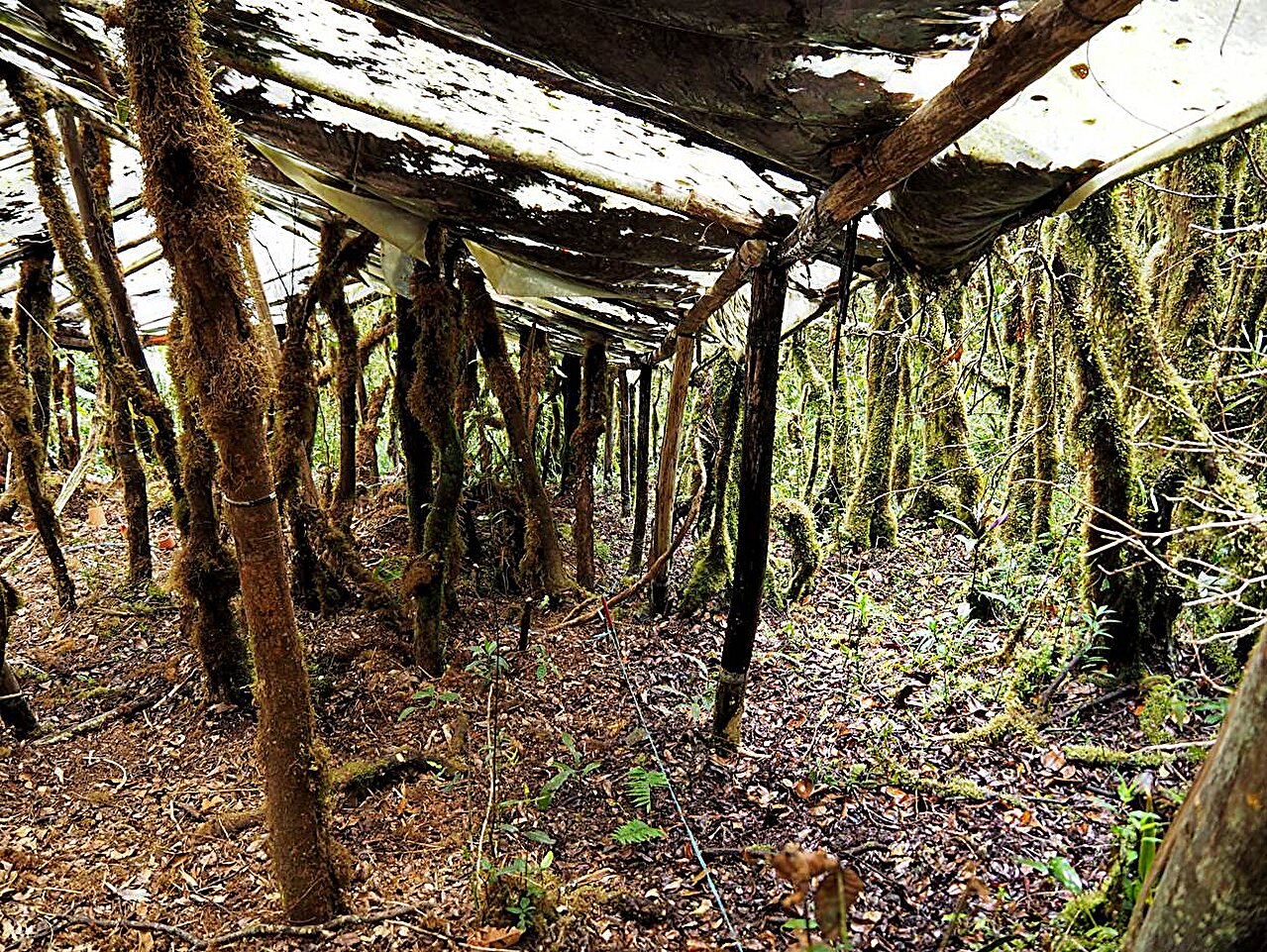 Global research shows how Dust Bowl-type drought causes unprecedented ...