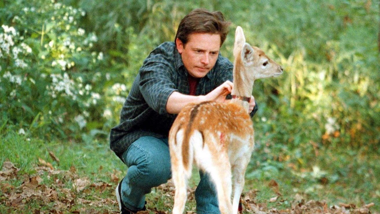 The life of Michael J. Fox in pictures - Part 2