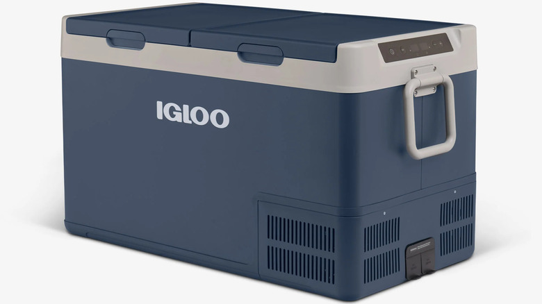 Why This High-Tech Cooler At Costco Could Be A Game Changer For Road ...