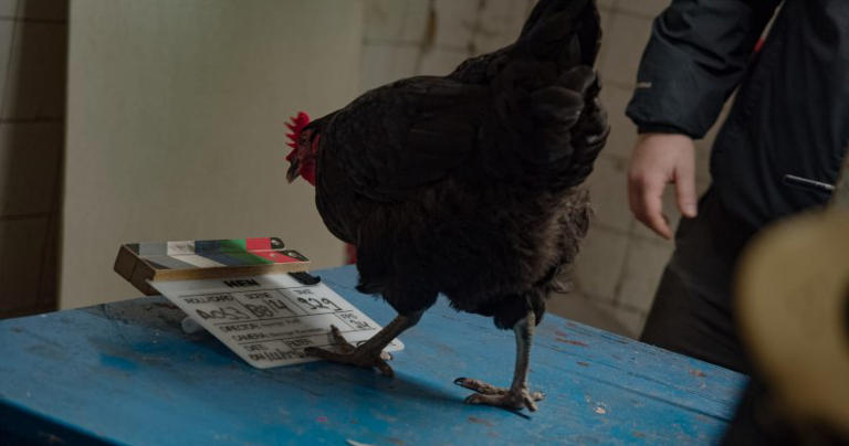 Hen - storia di una gallina: clip esclusiva dell'avventuroso film di ...