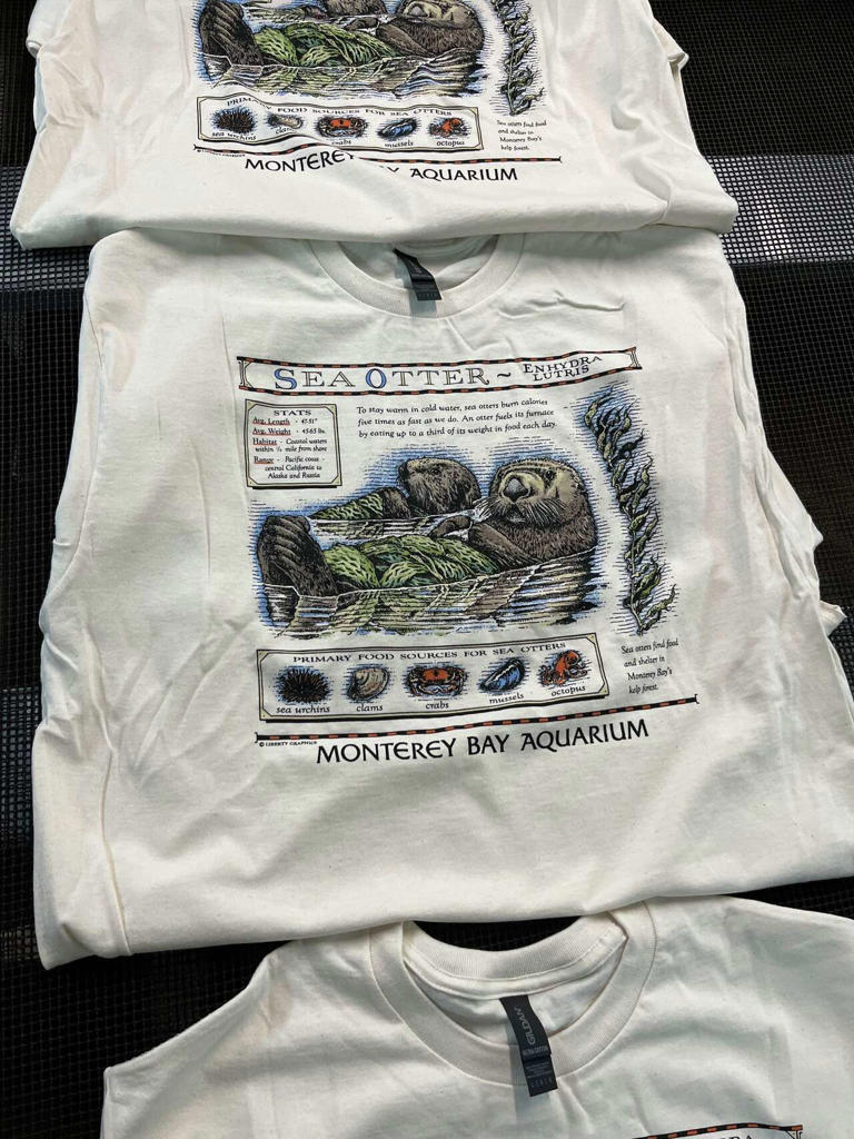 Monterey Bay Aquarium reissues vintage T-shirt worn by Taylor Swift