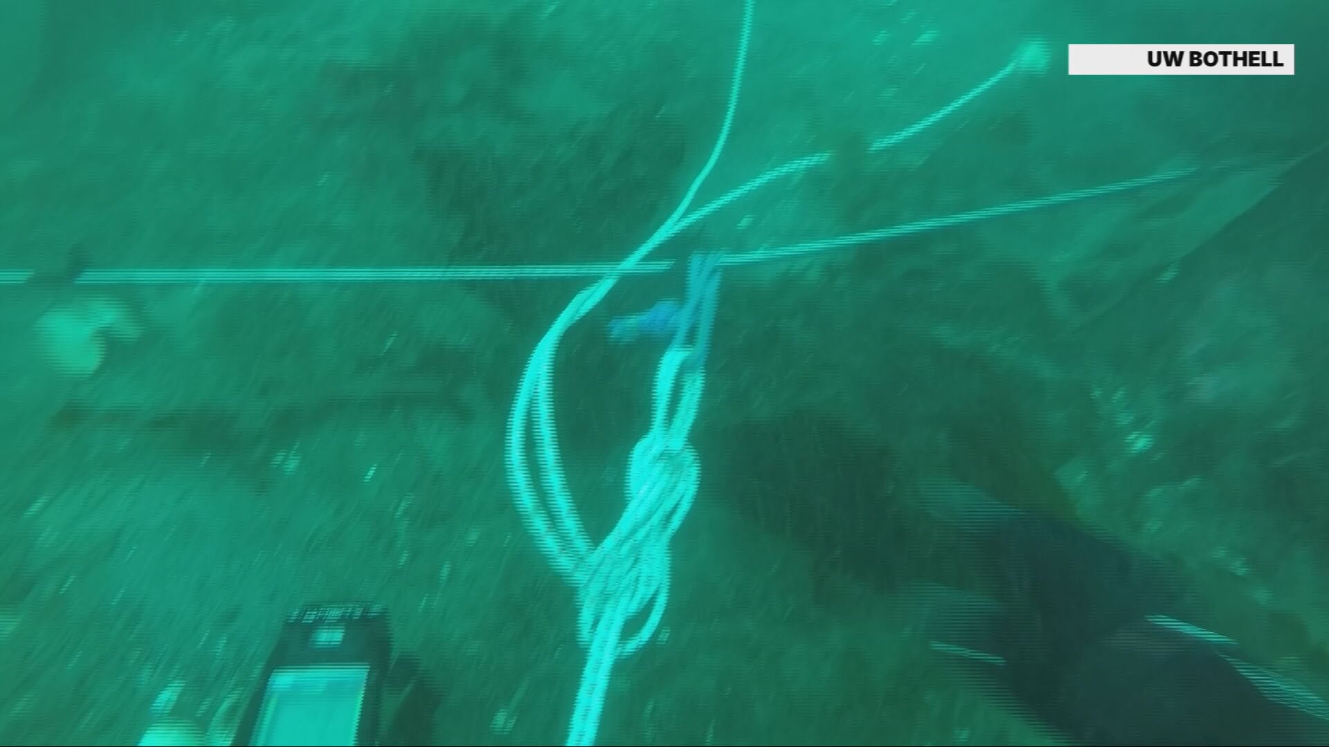 UW scientists looking at using fiber-optic cables to revolutionize orca ...