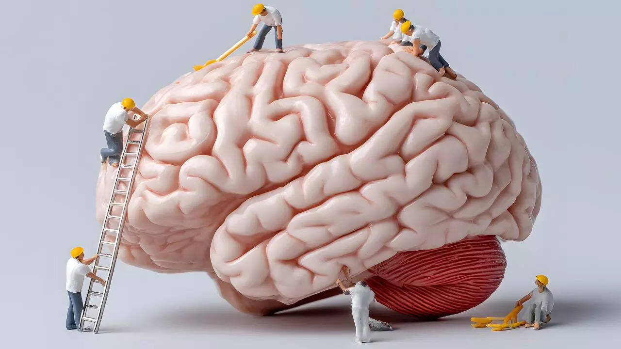 This is the exact amount of exercise required per week to sharpen ...