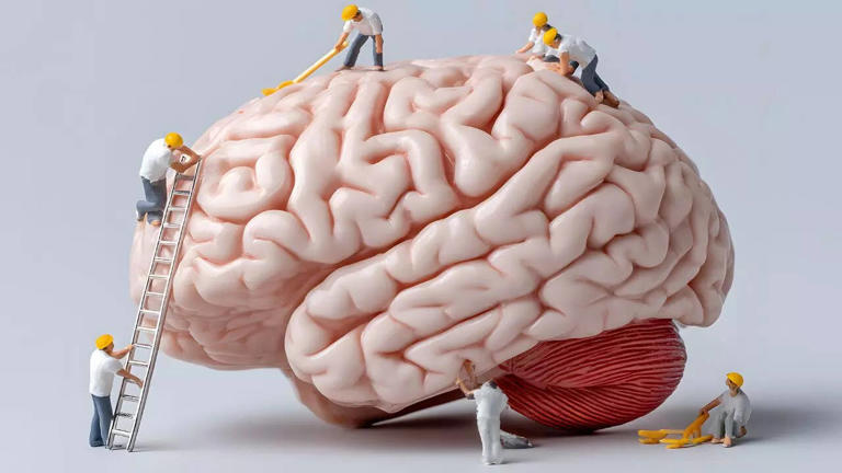 This is the exact amount of exercise required per week to sharpen ...