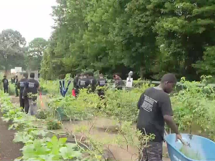 City of Charlotte, nonprofits offer programs to reduce youth violent crime