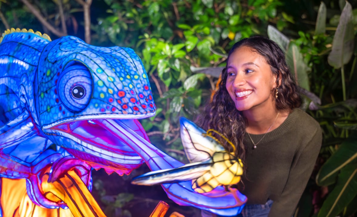 Aquatica Orlando launches first nighttime lantern festival