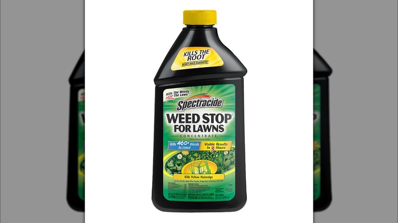 The Top 9 Worst Weed Control Products For Your Lawn (& Better ...
