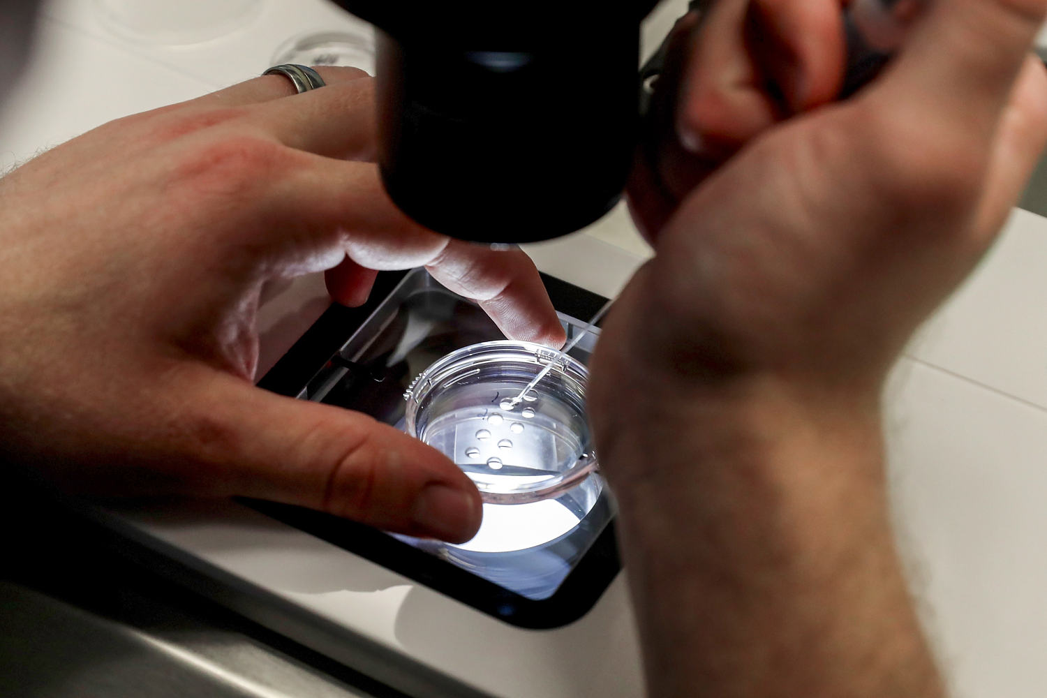 Couple who alleges IVF clinic mixed up their embryos continue court ...
