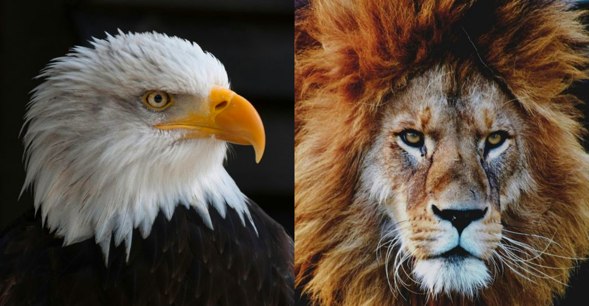 11 Dominant Animals With No Natural Predators