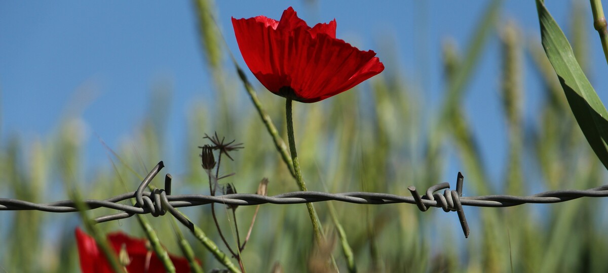 Demoralization Is More About Culture than Feelings