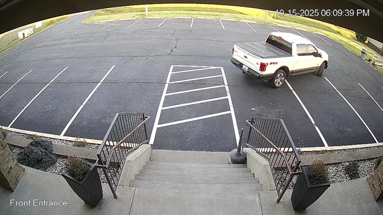 7 puppies abandoned from pickup truck at Nicholasville dog park