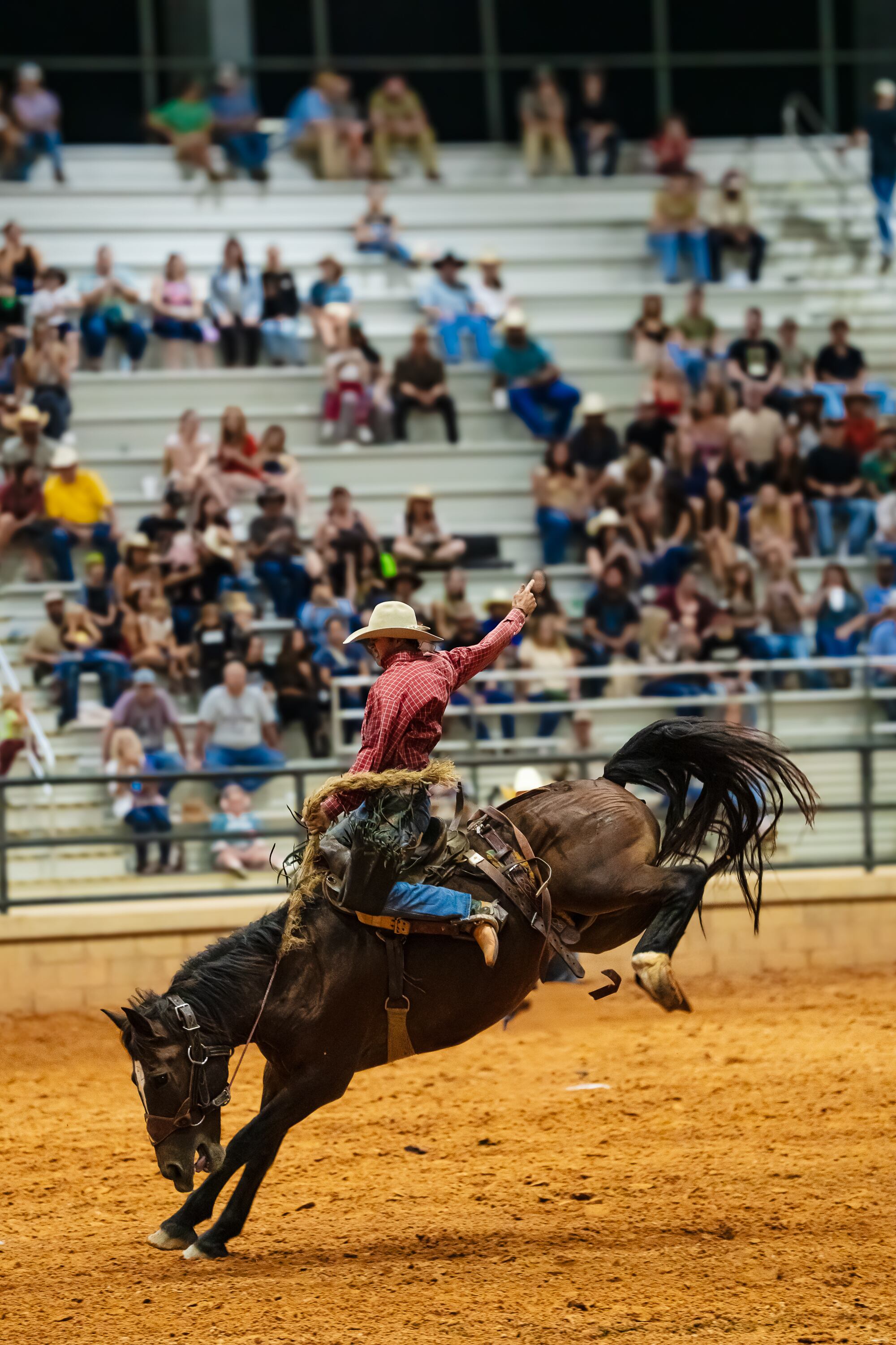 Ancient City Pro Rodeo rides into St. Augustine Nov. 1–2 with events ...