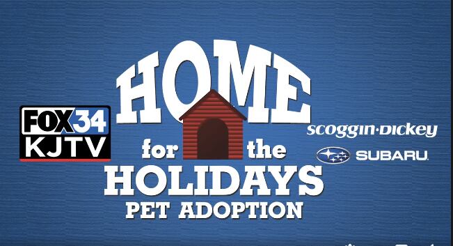 Pets adopted at Home for the Holidays event