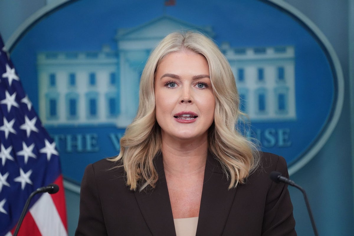 Karoline Leavitt calls Democratic base ‘Hamas terrorists, illegal ...