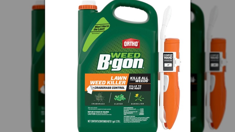 The Top 9 Worst Weed Control Products For Your Lawn (& Better ...