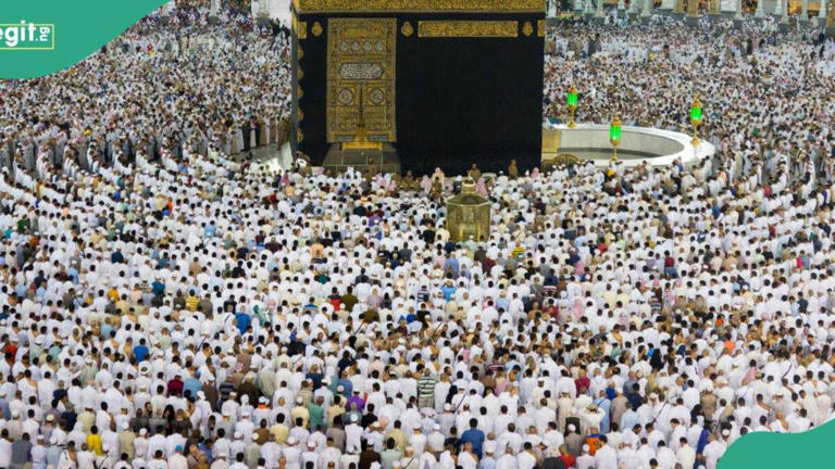 NAHCON releases number of people who have died and been hospitalised in ...
