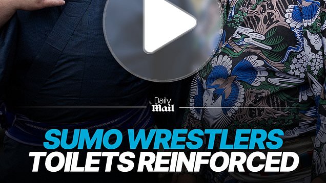 Toilets strengthened to accommodate sumo wrestlers