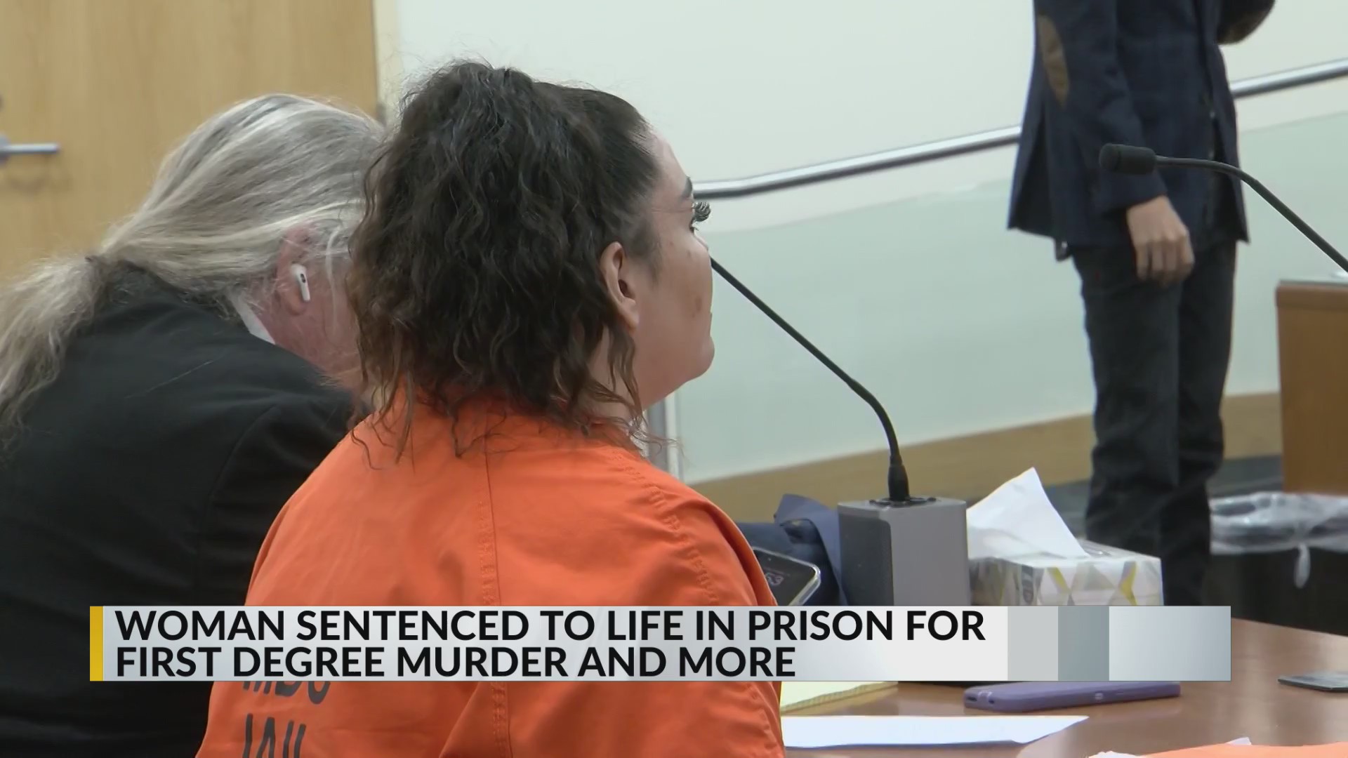 Woman sentenced to 30 years in prison for her role in hatchet murder in ...